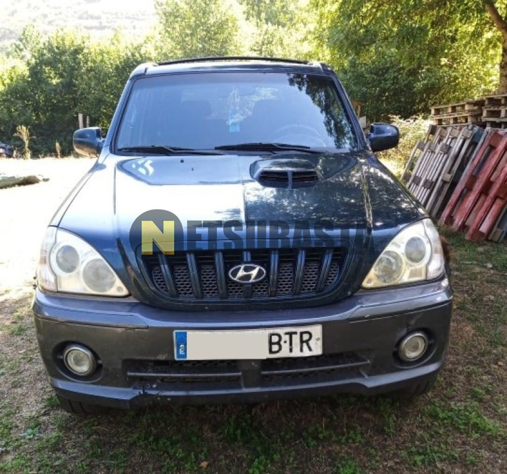 Subasta de Hyundai Terracan 2.5 TCI 2002