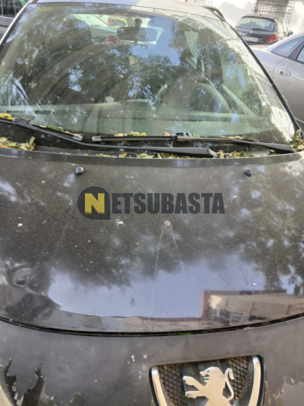 Subasta de Peugeot 207 1.4 2007